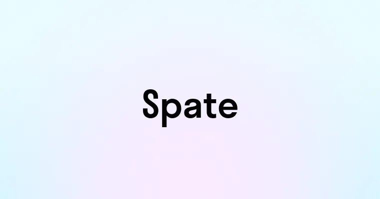 Spate — перевод, транскрипция, произношение и примеры
