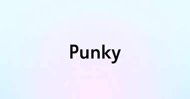 Punky — перевод, транскрипция, произношение и примеры