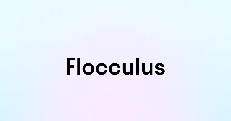 Flocculus — перевод, транскрипция, произношение и примеры