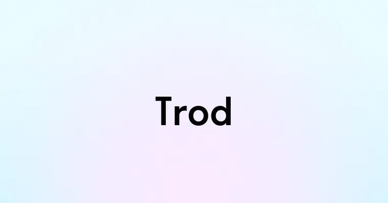 Trod — перевод, транскрипция, произношение и примеры