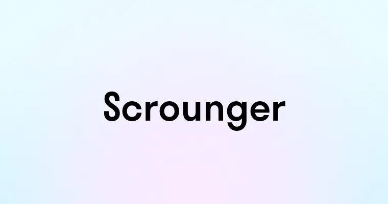 Scrounger — перевод, транскрипция, произношение и примеры