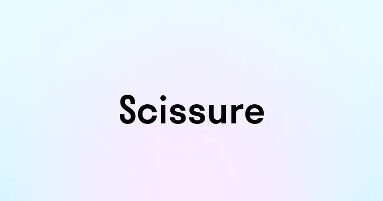 Scissure — перевод, транскрипция, произношение и примеры