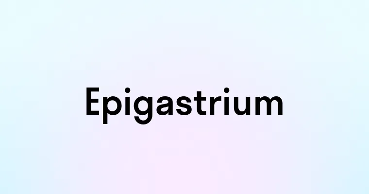 Epigastrium — перевод, транскрипция, произношение и примеры