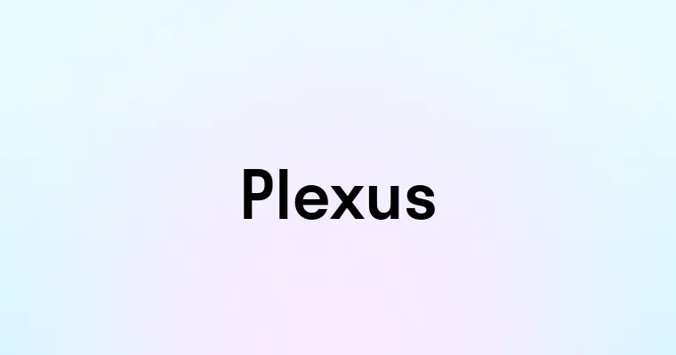 Plexus — перевод, транскрипция, произношение и примеры