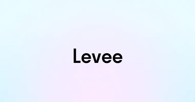 Levee — перевод, транскрипция, произношение и примеры