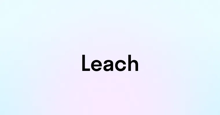 Leach — перевод, транскрипция, произношение и примеры
