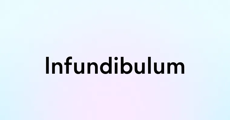 Infundibulum — перевод, транскрипция, произношение и примеры