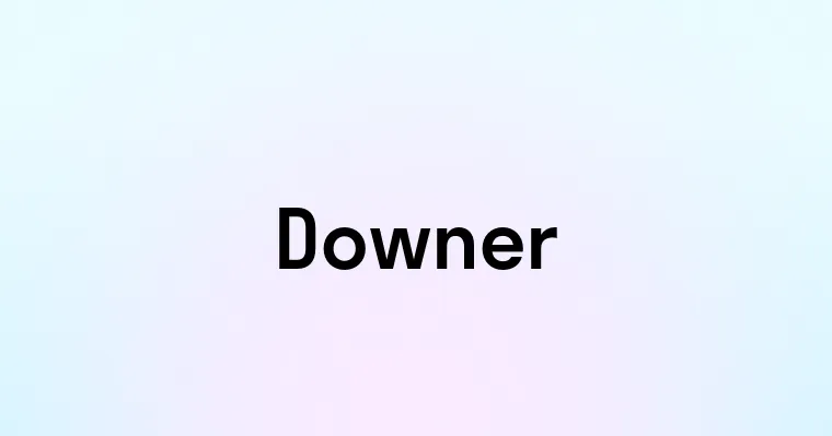 Downer — перевод, транскрипция, произношение и примеры