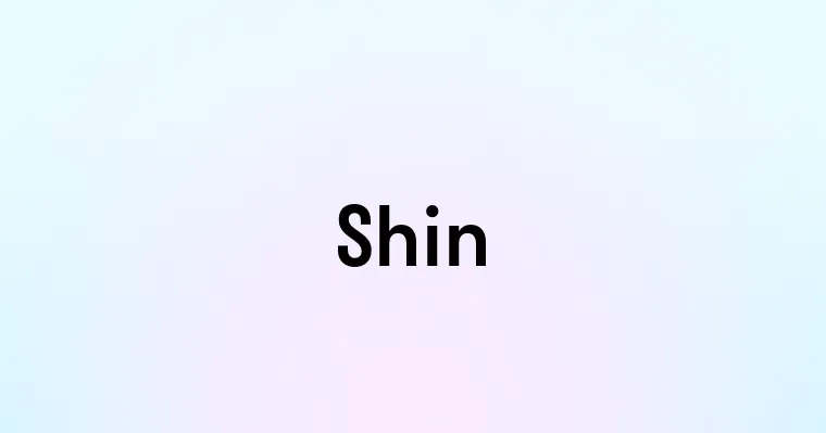 Shin — перевод, транскрипция, произношение и примеры