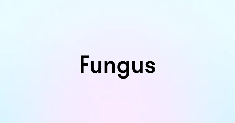Fungus — перевод, транскрипция, произношение и примеры