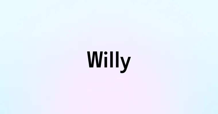 Willy — перевод, транскрипция, произношение и примеры