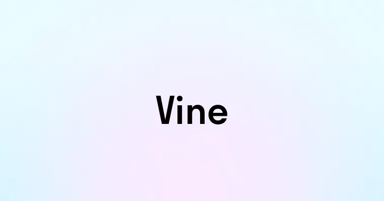 Vine — перевод, транскрипция, произношение и примеры