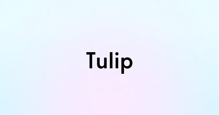 Tulip — перевод, транскрипция, произношение и примеры