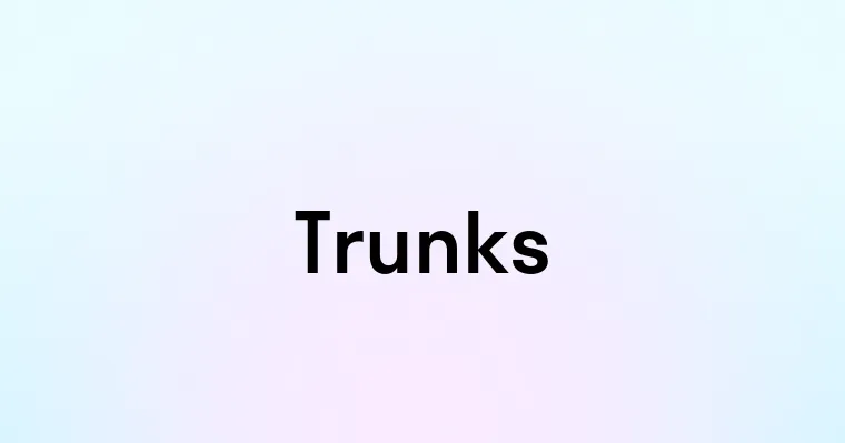 Trunks — перевод, транскрипция, произношение и примеры