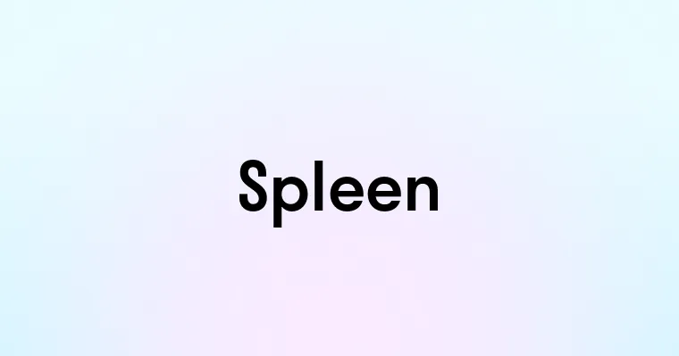 Spleen — перевод, транскрипция, произношение и примеры