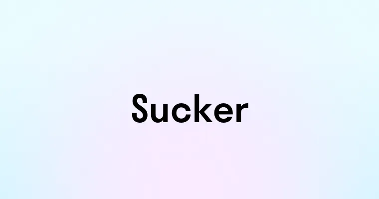 Sucker — перевод, транскрипция, произношение и примеры