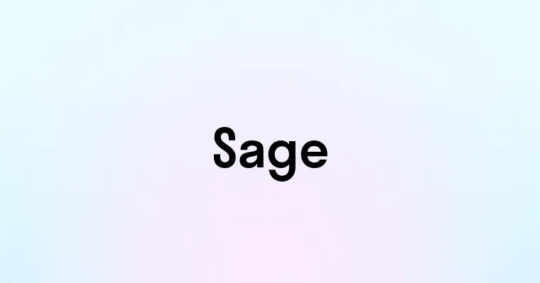Sage — перевод, транскрипция, произношение и примеры