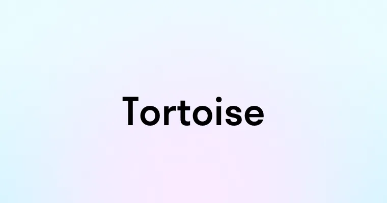 Tortoise — перевод, транскрипция, произношение и примеры