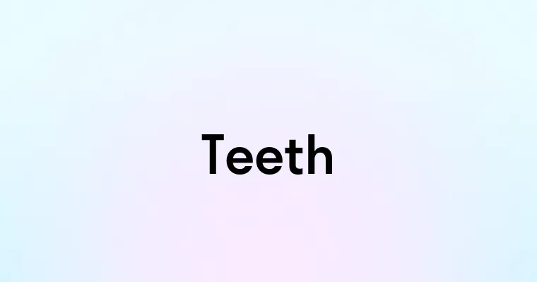 Teeth — перевод, транскрипция, произношение и примеры