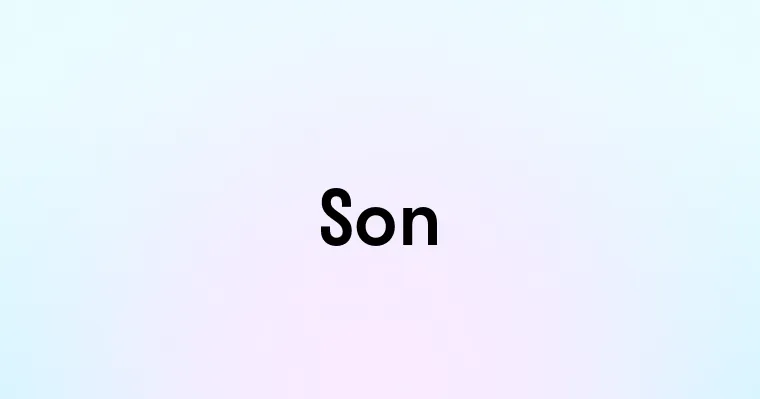 Son — перевод, транскрипция, произношение и примеры