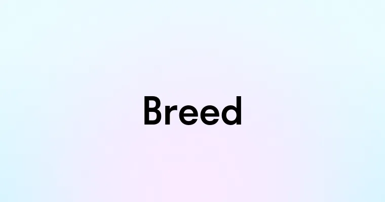 Breed — перевод, транскрипция, произношение и примеры