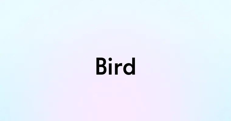 Bird — перевод, транскрипция, произношение и примеры