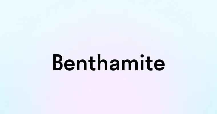 Benthamite — перевод, транскрипция, произношение и примеры