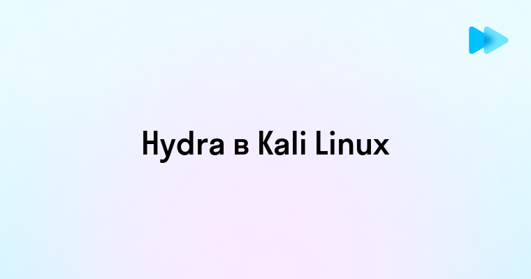 Как пользоваться Hydra в Kali Linux: пошаговая инструкция